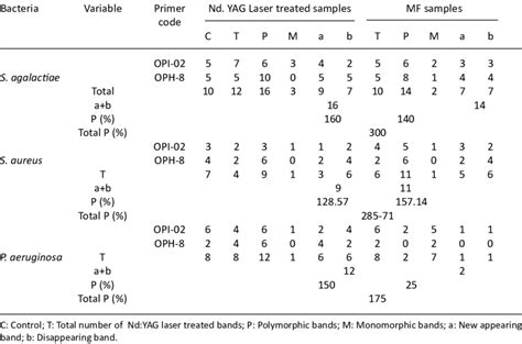 Rapd Pcr Profile Of Genomic Dna From Test Bacteria After Treatment With Download Scientific