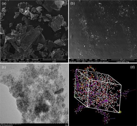 E Fesem Image Of A Sgo B Sa Sgo Membrane C Tem Image Of Sa Sgo Download Scientific Diagram
