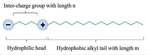 Structure Of A Zwitterionic Surfactant Molecule Source Modified From Download Scientific