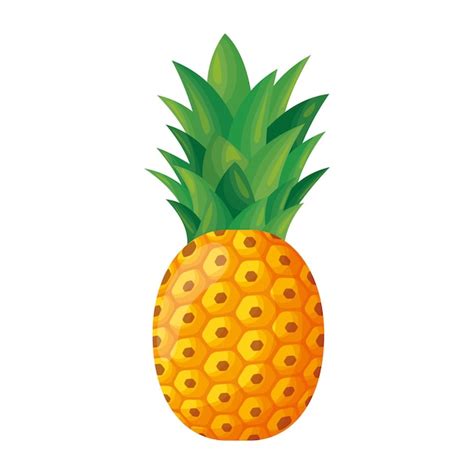 Premium Vector Pineapple Fruit Vector