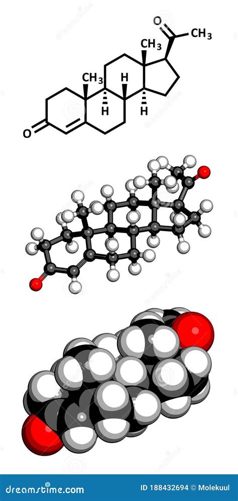 Progesterone Female Sex Hormone Molecule Plays Role In Menstrual Cycle And Pregnancy Skeletal