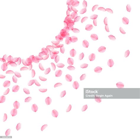 아래로 떨어지는 사쿠라 꽃잎 로맨틱 핑크 실크 중간 꽃입니다 두꺼운 비행 벚꽃 꽃잎입니다 간통에 대한 스톡 벡터 아트 및 기타 이미지 Istock