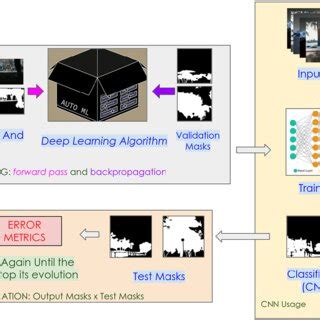 The CNN Training Process Download Scientific Diagram