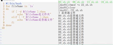 shell脚本语言 超全超详细 csdn博客