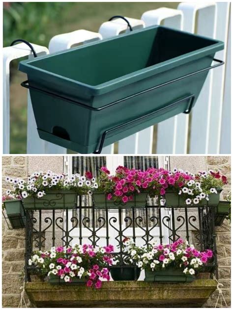 On Onlineshop Цэцэг жимс дэлгэрсэн зун цаг ирлээ Гоёхон Facebook