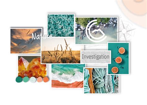 Proyecto Final Coder House Psandai On Behance