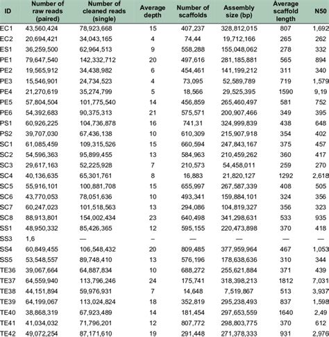 Summary Of Sequencing Data Per Samples Download Scientific Diagram