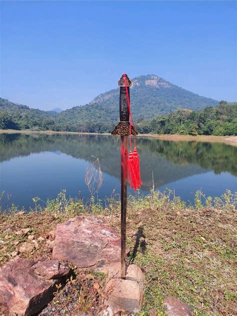 manas ranjan sahu on linkedin the wolves knew when it was time to stop looking for what they d