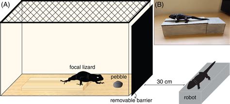 A Experimental Setup To Examine Brain Transcriptome Responses To Download Scientific Diagram