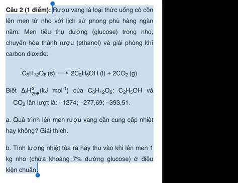 Rượu Vang Là Loại Thức Uống Có Cồn Lên Men Từ Nho Với Lịch Sử Phong Phú Hàng Ngàn Năm Men Tiêu