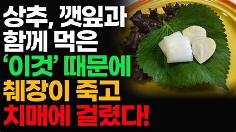 상추 깻잎과 절대로 함께 먹지 마세요 췌장이 죽고 치매에 걸립니다 Youtube