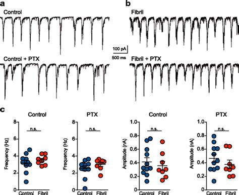 Spontaneous Synaptic Activity Driven By Action Potentials Is Normal In