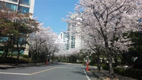 일산성저마을2단지 16평 세안고매매 매매 네이버 블로그