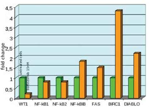 Wt1 Gene Expression Was Observed As Most Downregulated And Birc1 Gene
