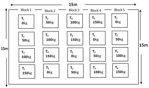 Field Layout Of The Experiment Replications And Four Treatments The Download Scientific