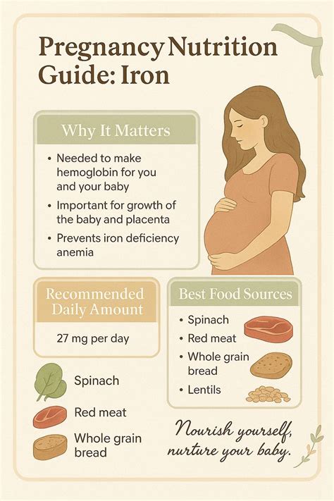 Pregnancy Nutrition Guide Iron In 2025 Pregnancy Nutrition Pregnancy Nutrition Guide