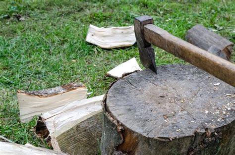 Premium Photo Stack Of Logs In Field
