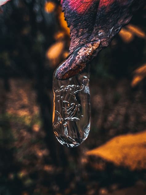 Пин от пользователя Анастасия Сапрыкина на доске Nature