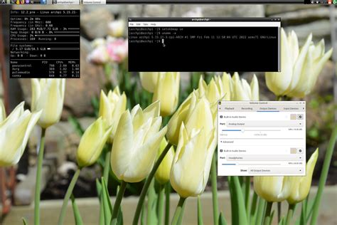 RaspEX For Raspberry Pi 4 Pi 3 And Pi 2 Exton Linux Builds