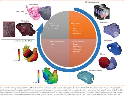 Figure 1 From A Review Of Personalised Cardiac Computational Modelling Using Electroanatomical