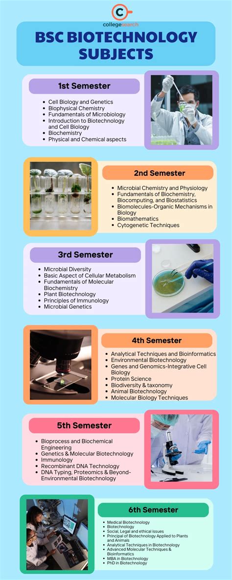 Bsc Biotechnology Subjects And Syllabus 1st 2nd 3rd Year Semester Wise Scope