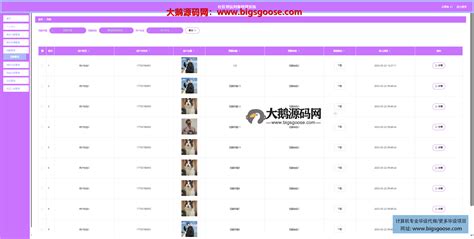 基于springboot的社区帮扶对象管理系统 计算机毕业设计 Java毕业设计大鹅源码网大鹅源码网