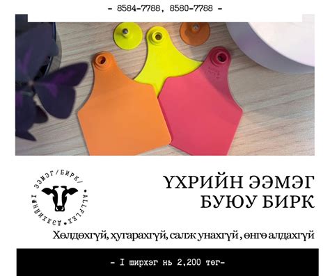 Мал аж ахуйн тоног төхөөрөмж худалдаа 🐂🔖 Allflex үхрийн ээмэг худалдаалж байна 📢 Малчид