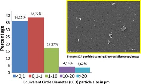 Particle Size Distribution According To The Equivalent Circle Diameter Download Scientific