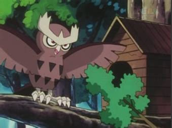 Archivo Ep Noctowl Wikidex La Enciclopedia Pok Mon