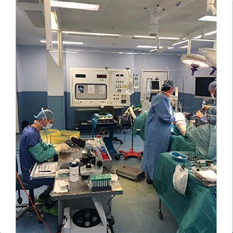 Intraoperative Cell Isolation Set Up The Workstation Is Positioned