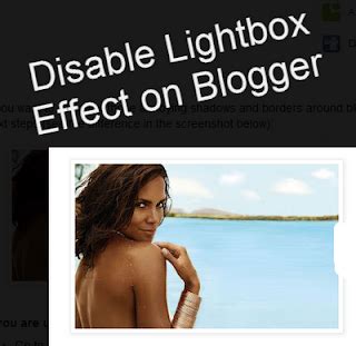 How To Disable Or Turn Off Lightbox View For Blogger Images Helplogger