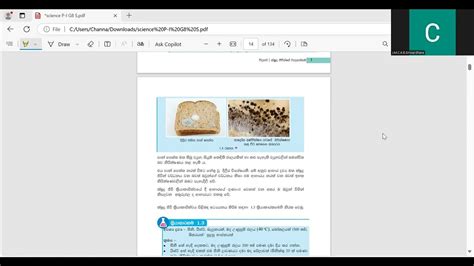 8 ශ්‍රේණිය විද්‍යාව 1 පාඩම ක්ෂුද්‍ර ජීවීන් ගේ වැදගත්කම 3 කොටස Youtube