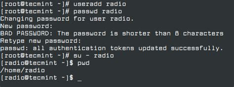 How To Install Shoutcast Radio Server Online Media Streaming On Linux