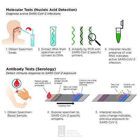 Tests sérologiques pour la COVID 19 Laboratoires SALEM