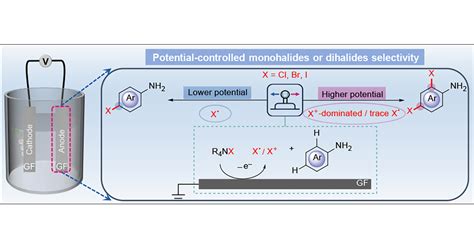 Mono Or Di A Potential Controlled Electrochemical Halogenation Of Anilines Journal Of The