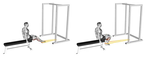 7 Best Resistance Band Hamstring Exercises With Pictures Inspire Us