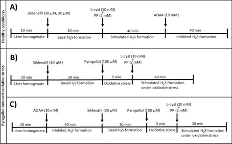 Real Time H2S Measurement Protocols In Healthy Conditions A And Under Download Scientific