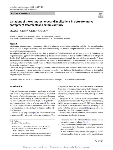 Variations Of The Obturator Nerve And Implications In Obturator Nerve Entrapment Treatment An