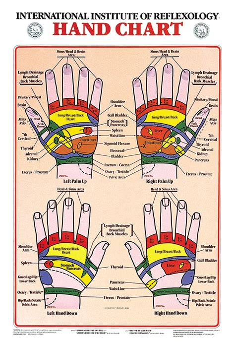 Hand Reflexology Chart Charts Hand Chart 17 X 21