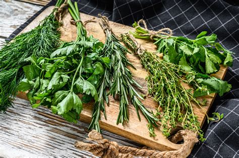 신선한 허브 고수 로즈마리 백리향 딜 파슬리를 섞어 줍니다 흰색 배경입니다 맨 위 보기 복사 공간 0명에 대한 스톡 사진 및 기타 이미지 Istock