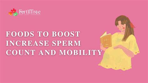 18 Best Foods To Increase Sperm Count And Motility