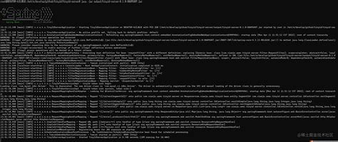 分布式id生成器 Tinyidtinyid是用java开发的一款分布式id生成系统,基于数据库号段算法实现由滴滴开发 掘金 分布式id生成器 Tinyidtinyid是用java开发的一款分布式id生成系统,基于数据库号段算法实现由滴滴开发 掘金