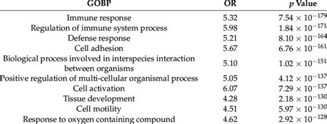 Top 10 Results Of Ora With Gobp Using Result Genes Of Endometriosis Download Scientific Diagram