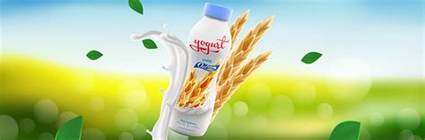 밝은 자연 배경 귀리 병 자연 유기농 요구르트 브랜딩 및 상업 준비 사용 플라이어 현실적인 그림 0명에 대한 스톡 벡터 아트 및 기타 이미지 Istock