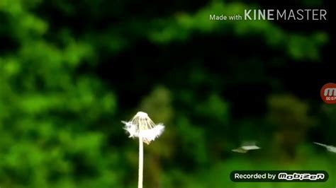 Treehouse TV Losing Houses ID Remake YouTube Treehouse TV Losing Houses ID Remake YouTube