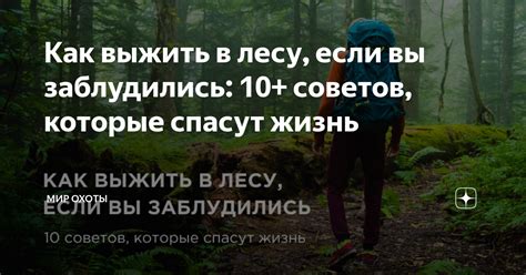 Как выжить в лесу если вы заблудились 10 советов которые спасут жизнь Mиp Oxoты Дзен