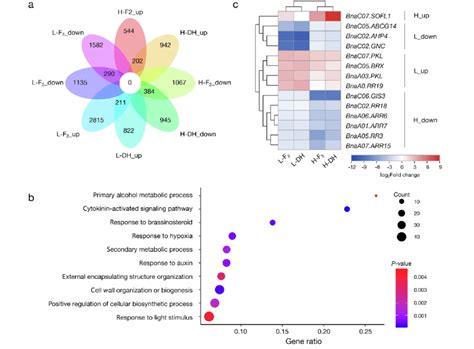 Gene Expression Pattern Analysis And Functional Analysis Of Degs