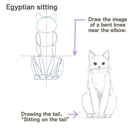 How To Draw A Cat How To Draw The Body And Pose MediBang Paint Cat Drawing Tutorial Cat How To Draw A Cat How To Draw The Body And Pose MediBang Paint Cat Drawing Tutorial Cat