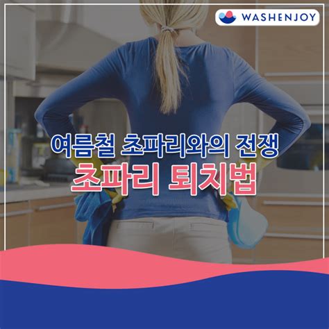 초파리 생기는 이유 원인부터 알자 초파리 트랩 만들기 퇴치법도 알아두세요 네이버 블로그