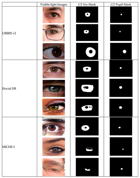 Adapting Sam For Visible Light Pupil Segmentation Baseline